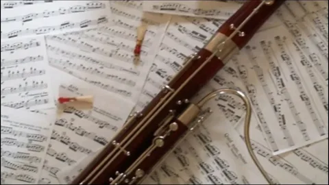 Quanto Custa um Fagote ou Oboé? Guia de Preços e Dicas para Escolher o ...